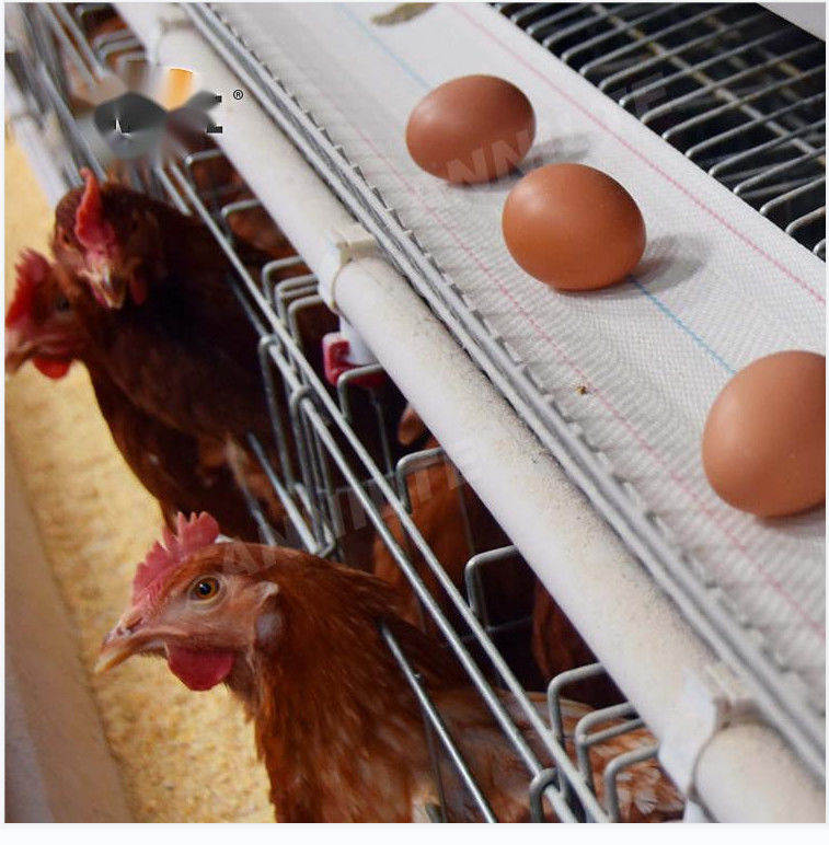 anti-UV and anti-aging egg conveyor belt for poultry farm egg ...