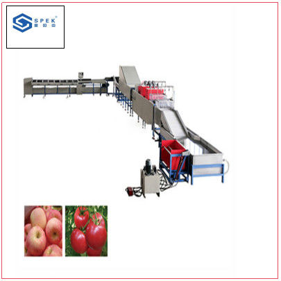 Tomato/Avocado/Orange/Apple Weight Sorting Machine and Weight Grading Machine