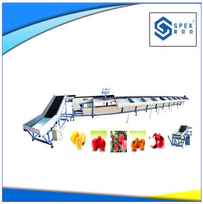 Customized Fruit Vegetable Grader Machine With Siemens Color Touch Screen